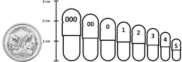 Capsule Sizes Chart — Size 000, 00, 0, 1, 2, 3, 4 | Buy Empty Capsules